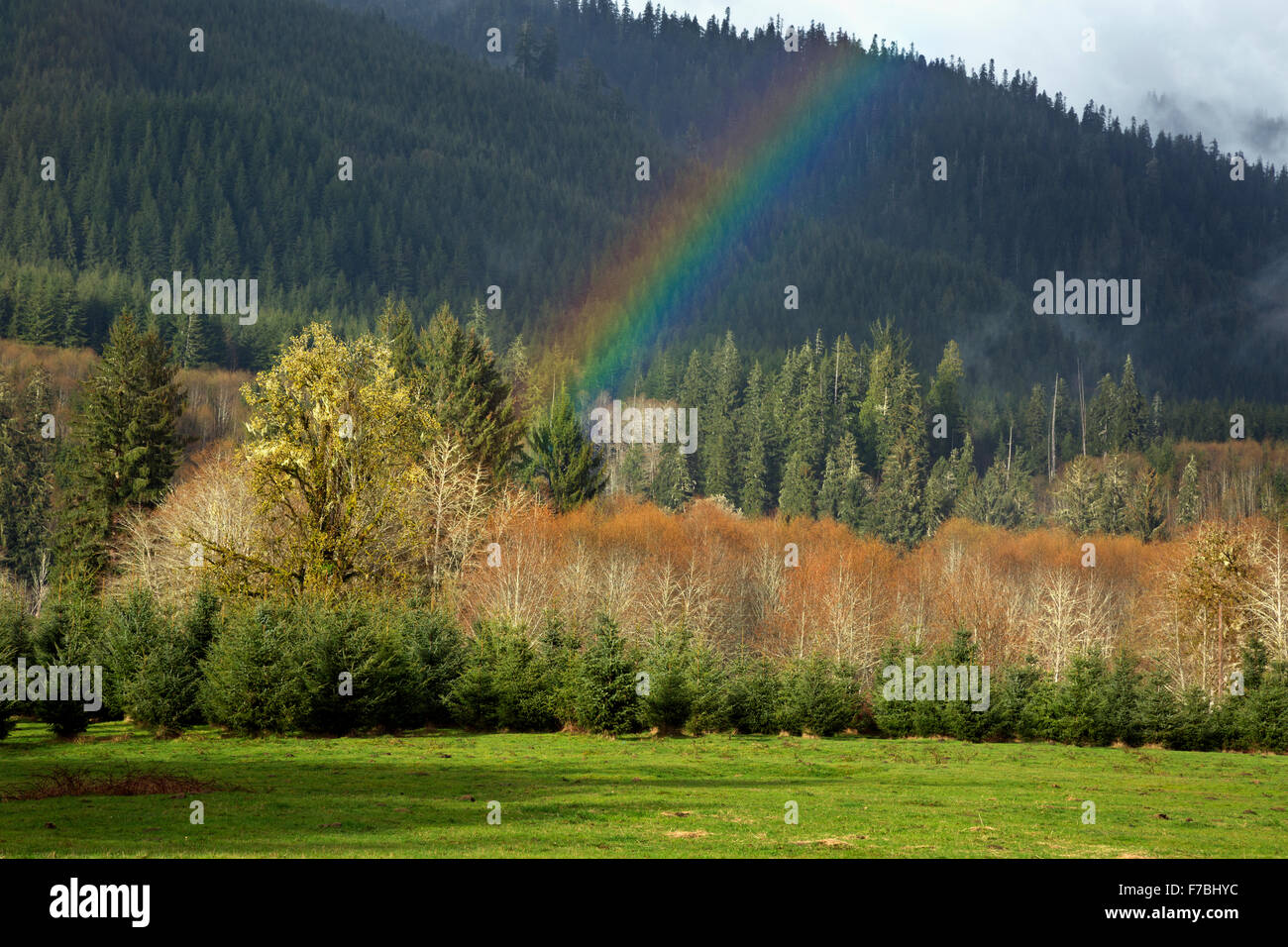 WASHINGTON - A rainbow near the Hard Rain Café located along the Hoh ...