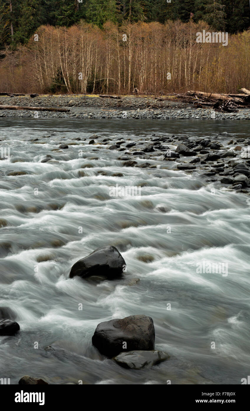 Hoh river at hoh rain forest in washington hi-res stock photography and ...