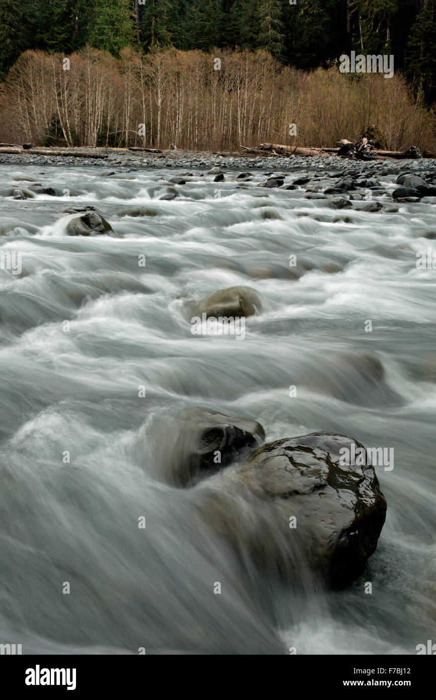 WA12178-00...WASHINGTON - Hoh River near the Olympus Guard Station in ...