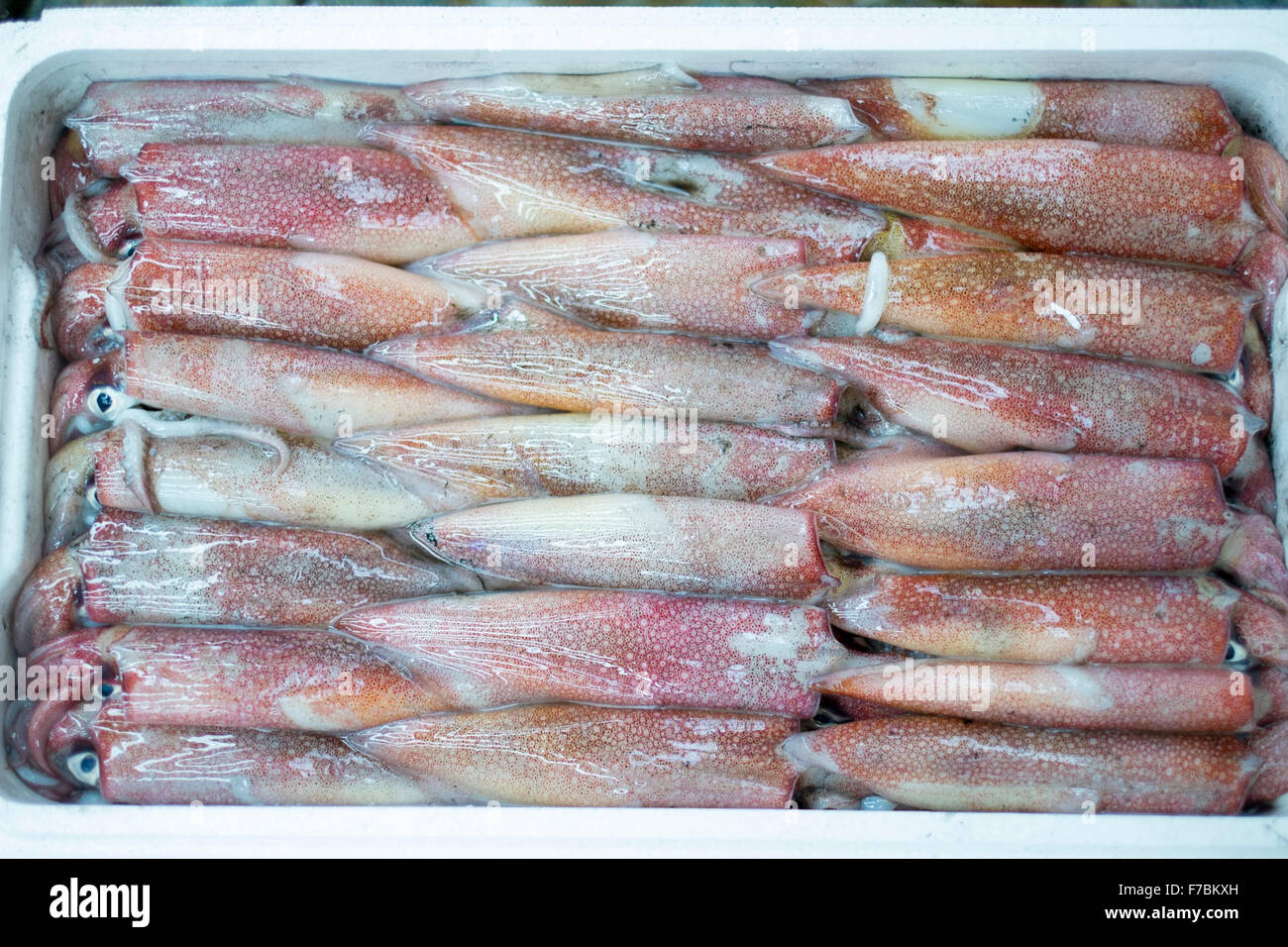 Squid japan hi-res stock photography and images - Alamy
