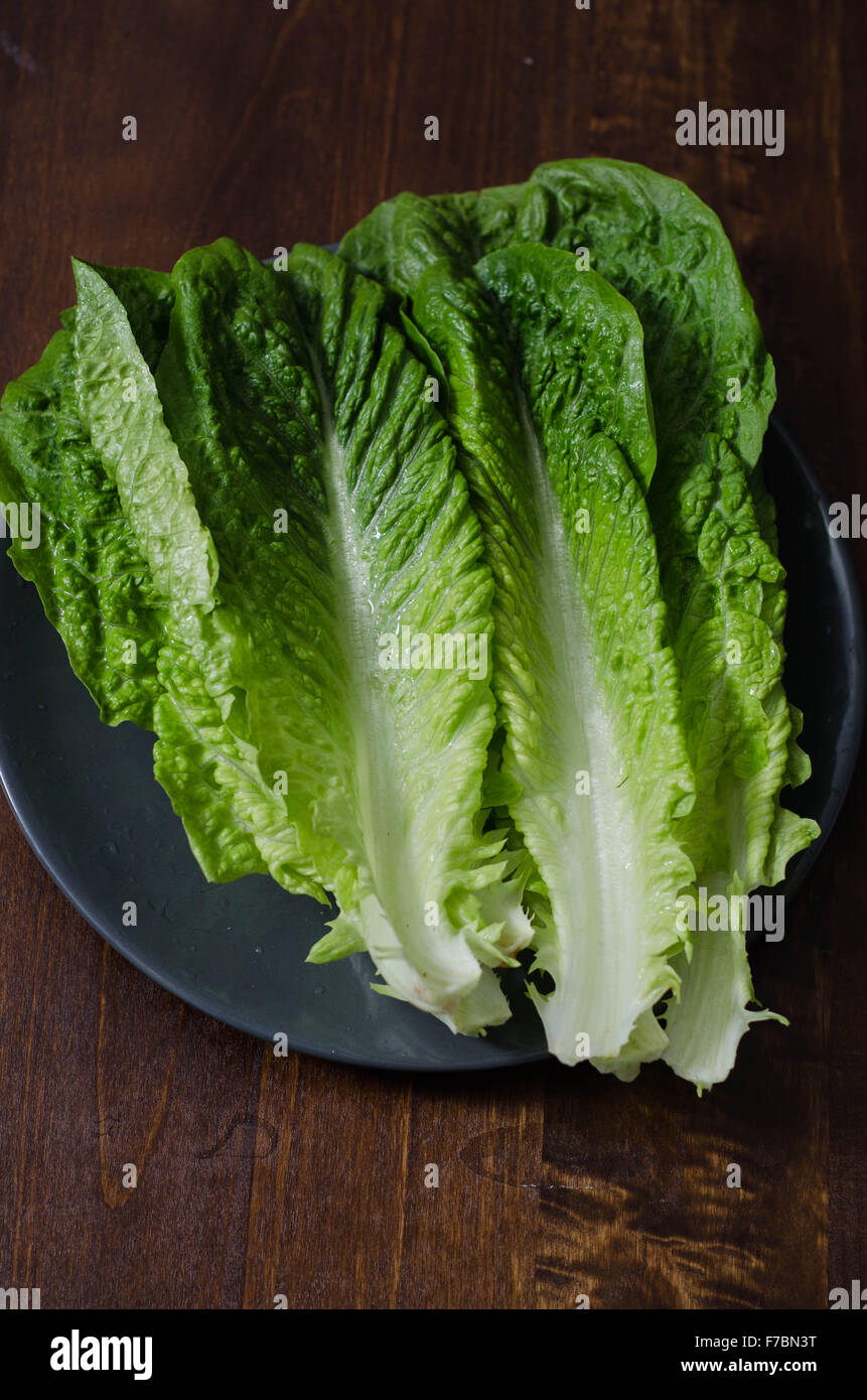 romaine lettuce leaves on a dark background Stock Photo - Alamy