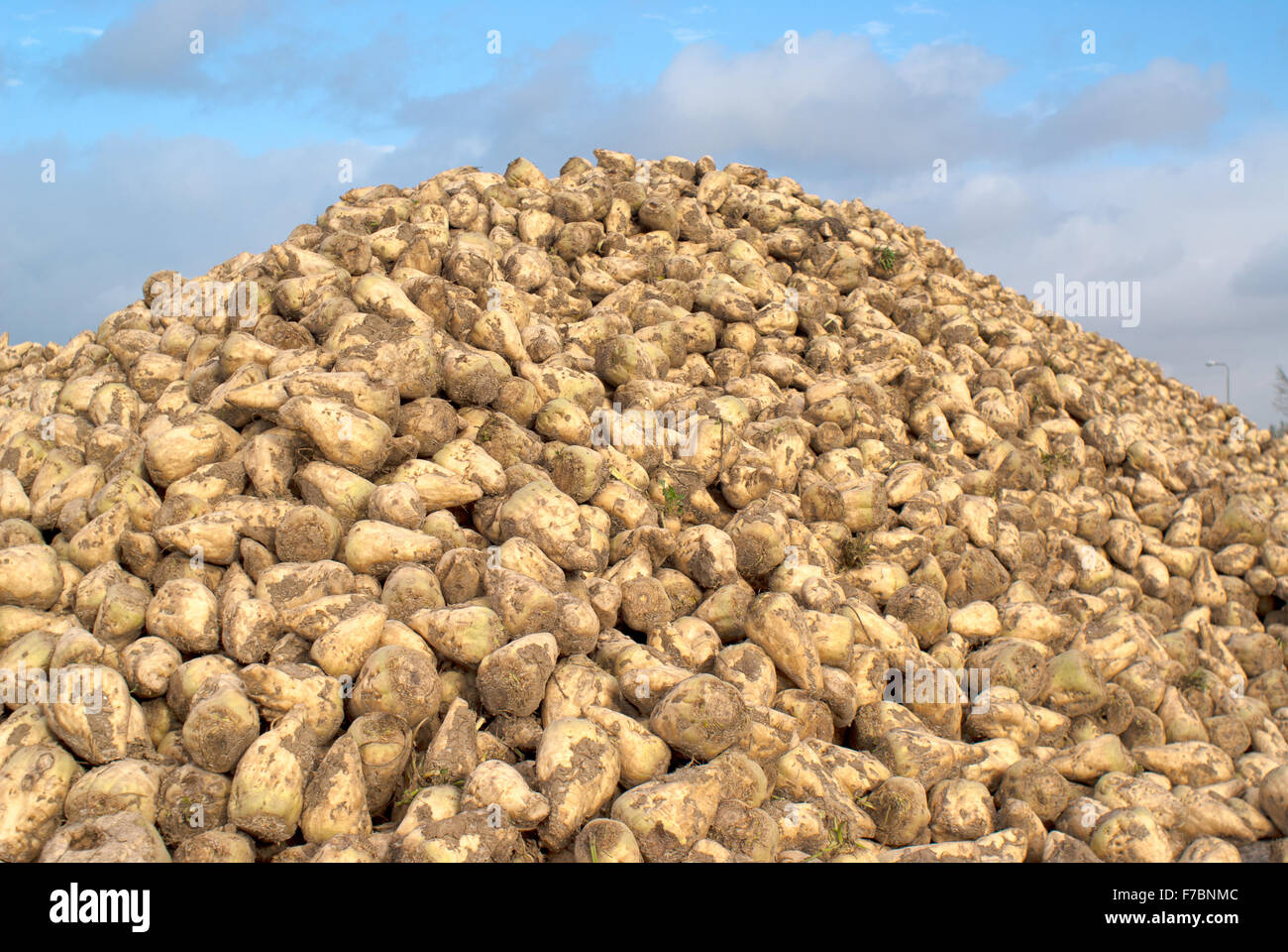 Sugar beet transport hi-res stock photography and images - Alamy