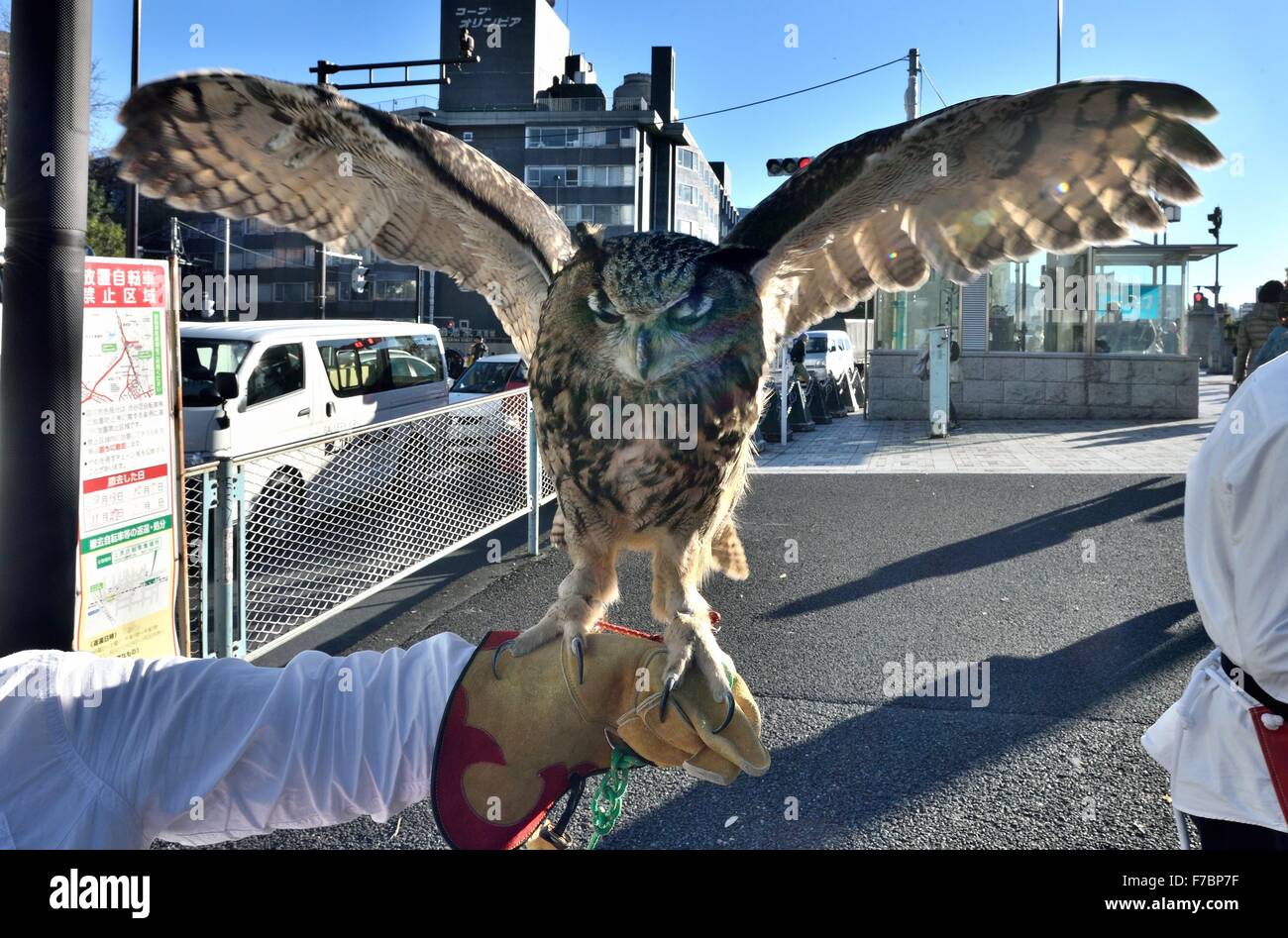 Tokyo, Japan. 26th Nov, 2015. An Owl Handler attracts visitors to the ...