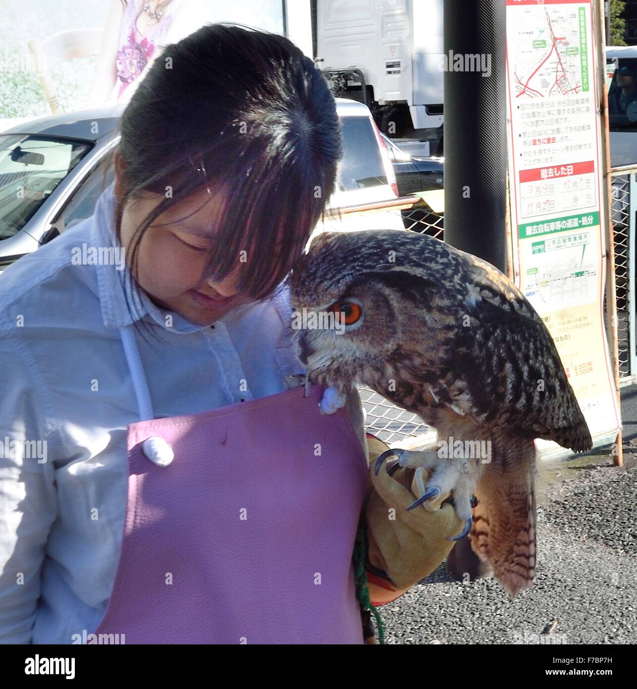 Tokyo, Japan. 26th Nov, 2015. An Owl Handler attracts visitors to the ...