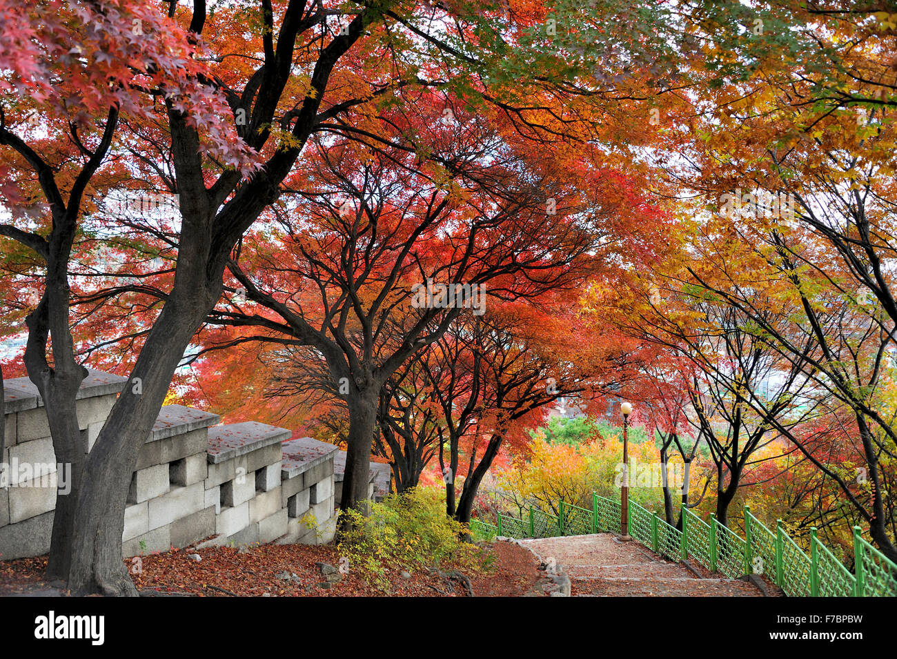 Walking path along the fortress wall of Bugaksan mountain near Seoul ...