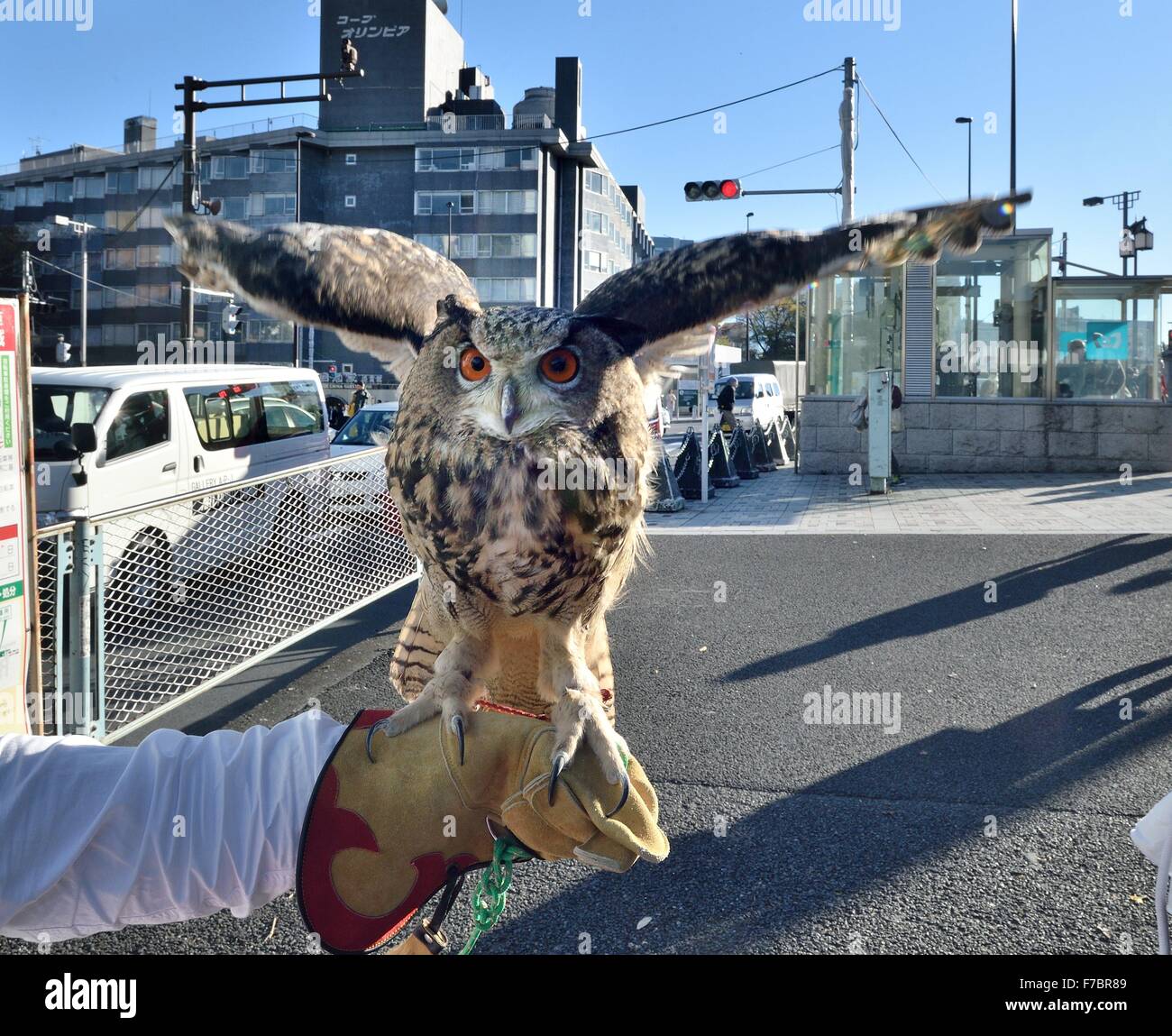 Tokyo, Japan. 26th Nov, 2015. An Owl Handler attracts visitors to the ...