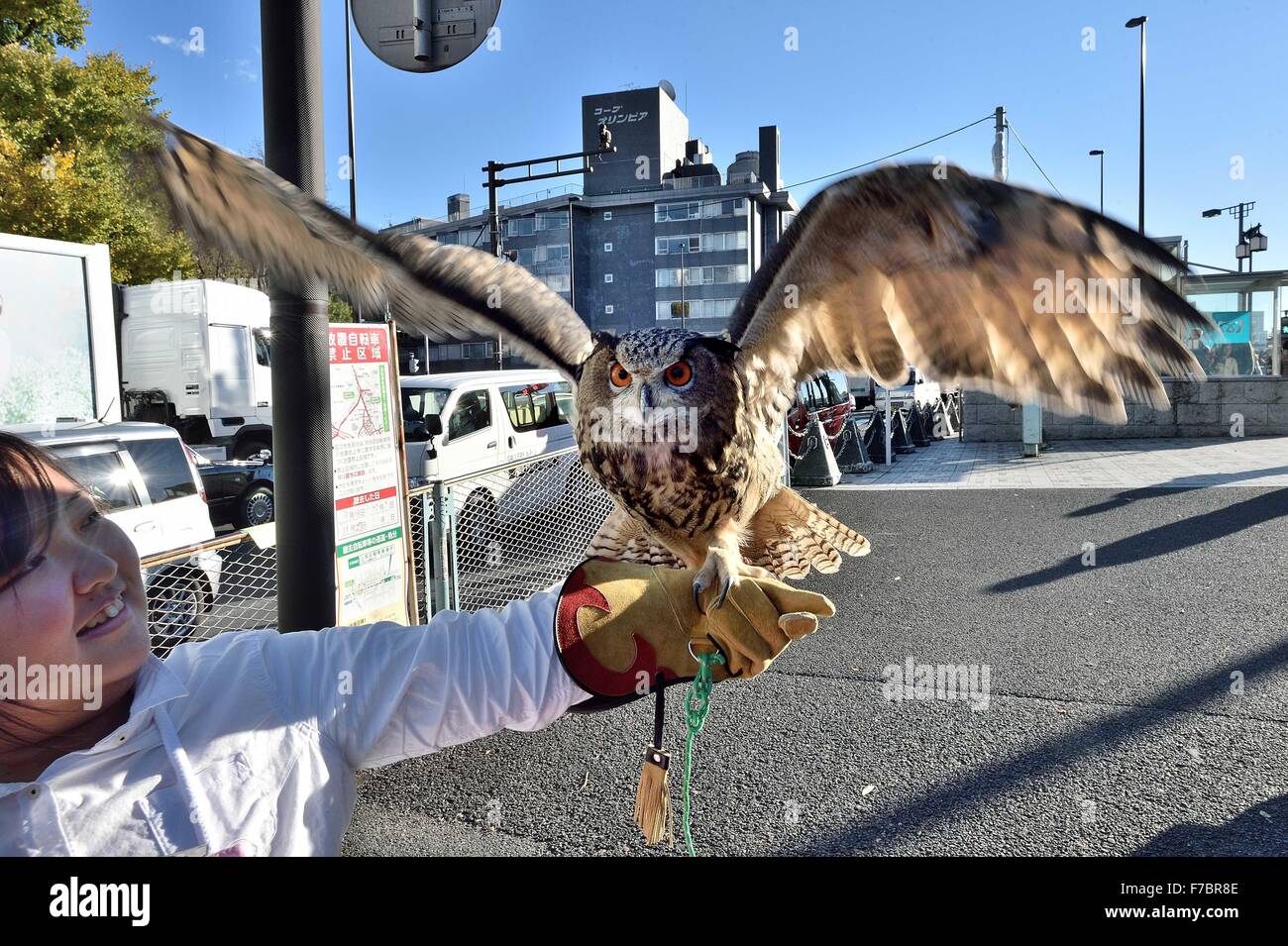 Tokyo, Japan. 26th Nov, 2015. An Owl Handler attracts visitors to the ...