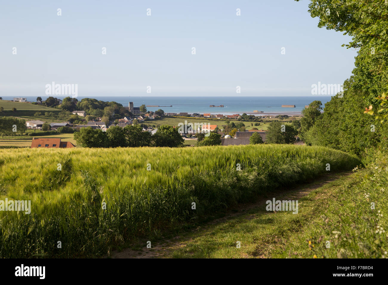Barley field overlooking the WW2 Mulberry Harbour, Port Winston, at ...