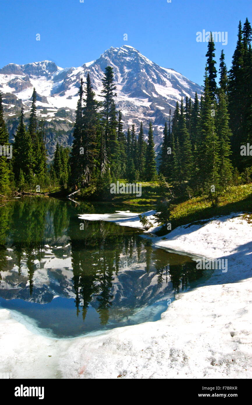 Mount Rainier National Park, WA. Mount Rainier reflected in lake as ...