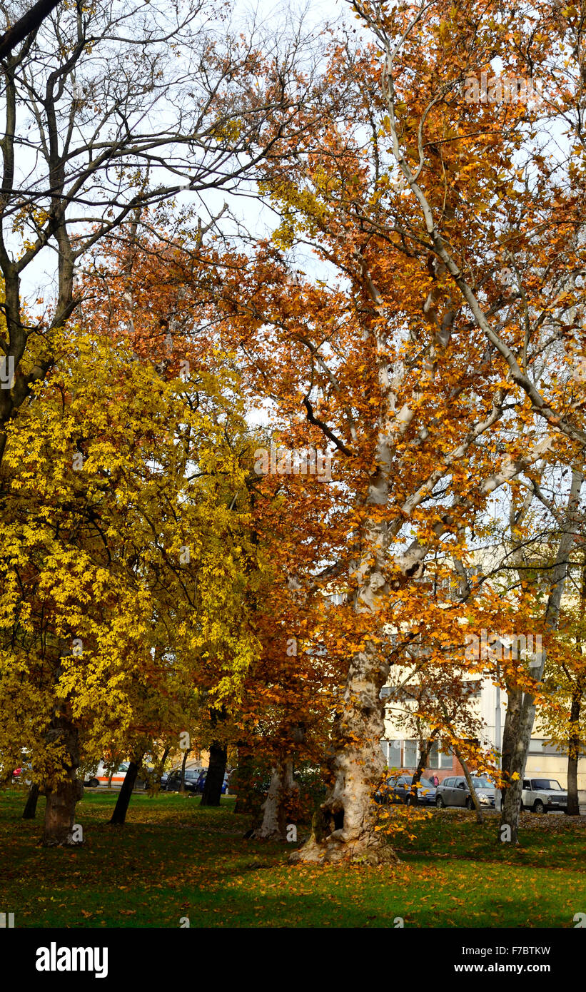 Jozsef katona hi-res stock photography and images - Alamy
