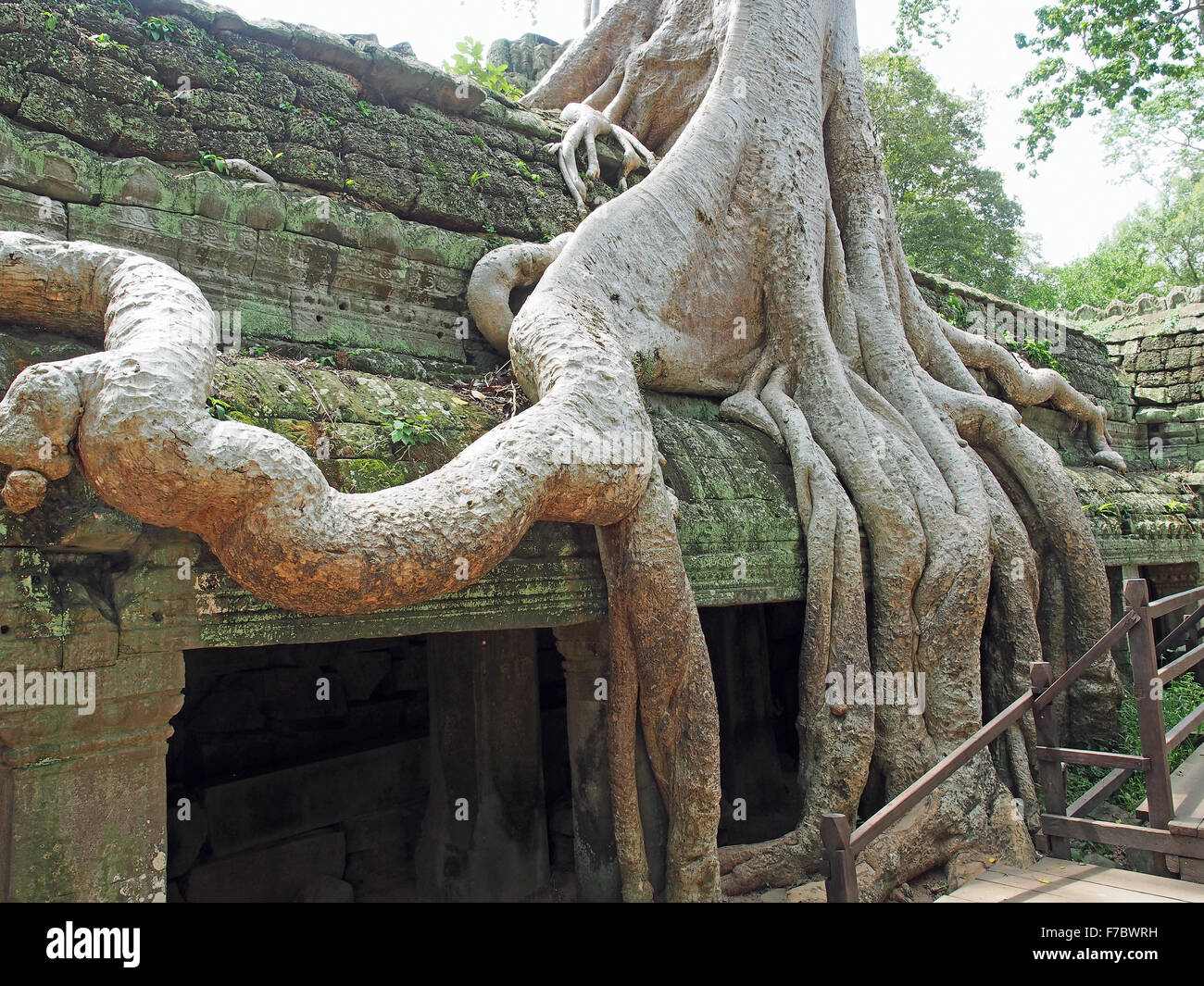 Tree temples hi-res stock photography and images - Alamy