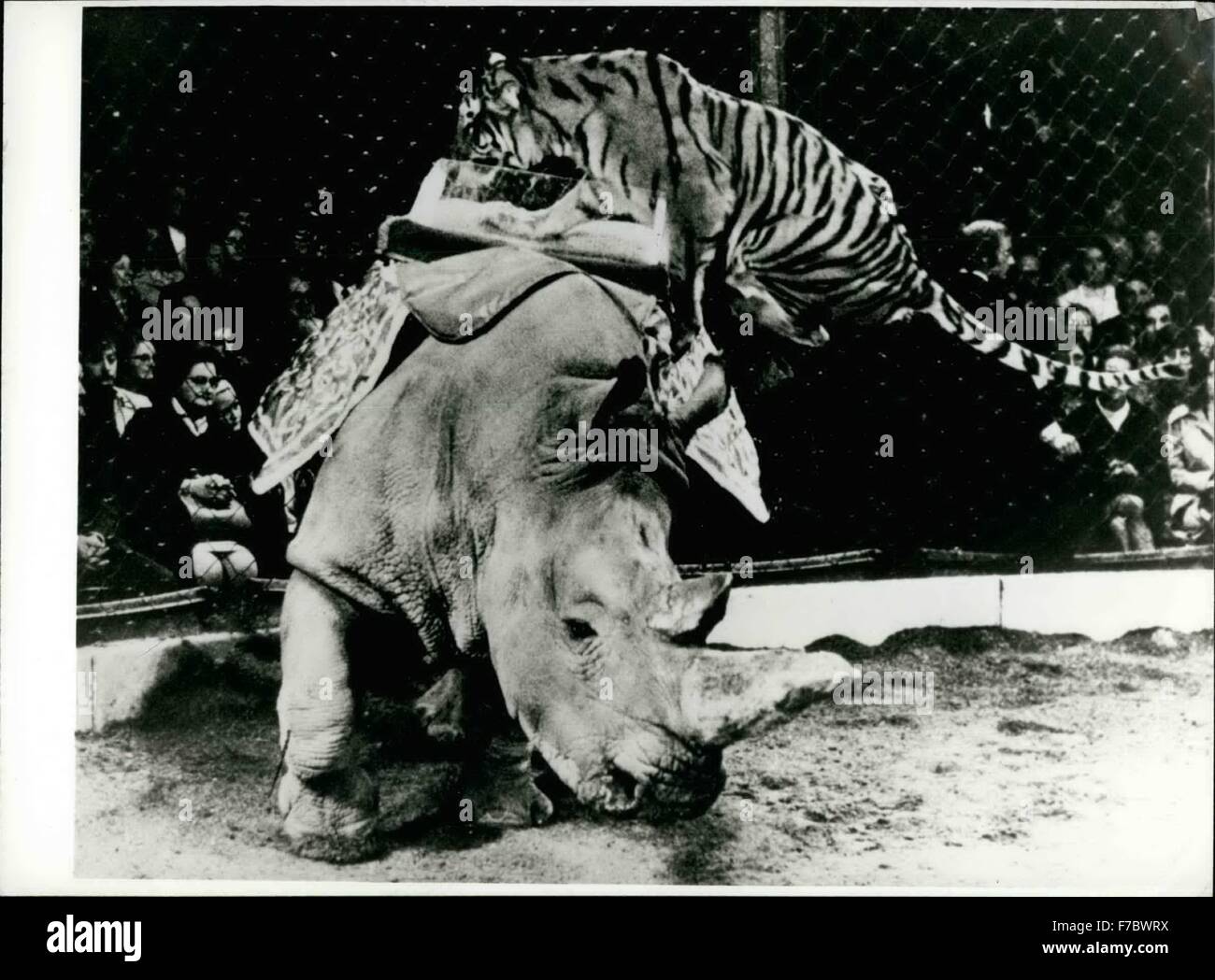 1962 - Sensational number with animals in the Christmas program of the ...