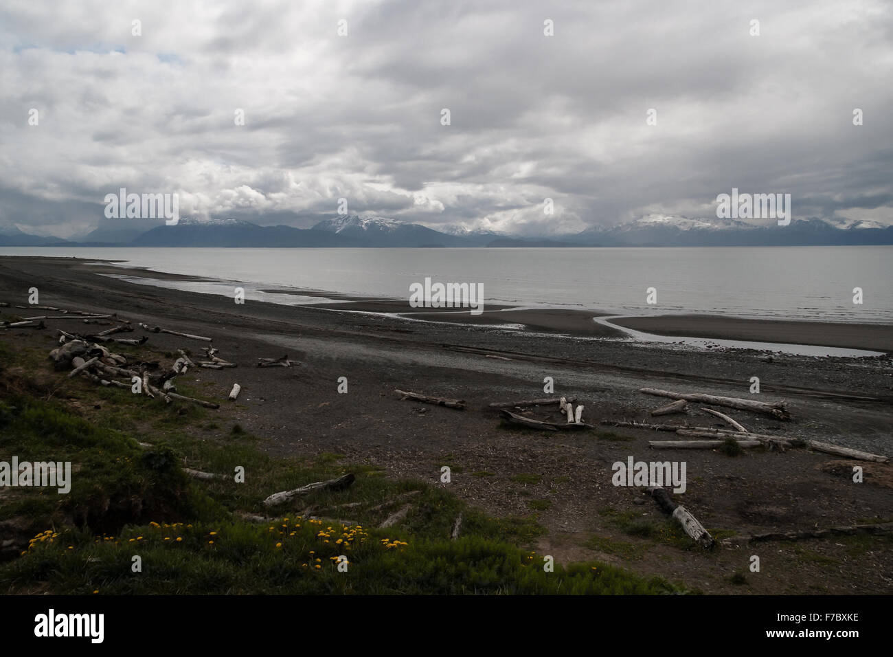 Homer beach hi-res stock photography and images - Alamy