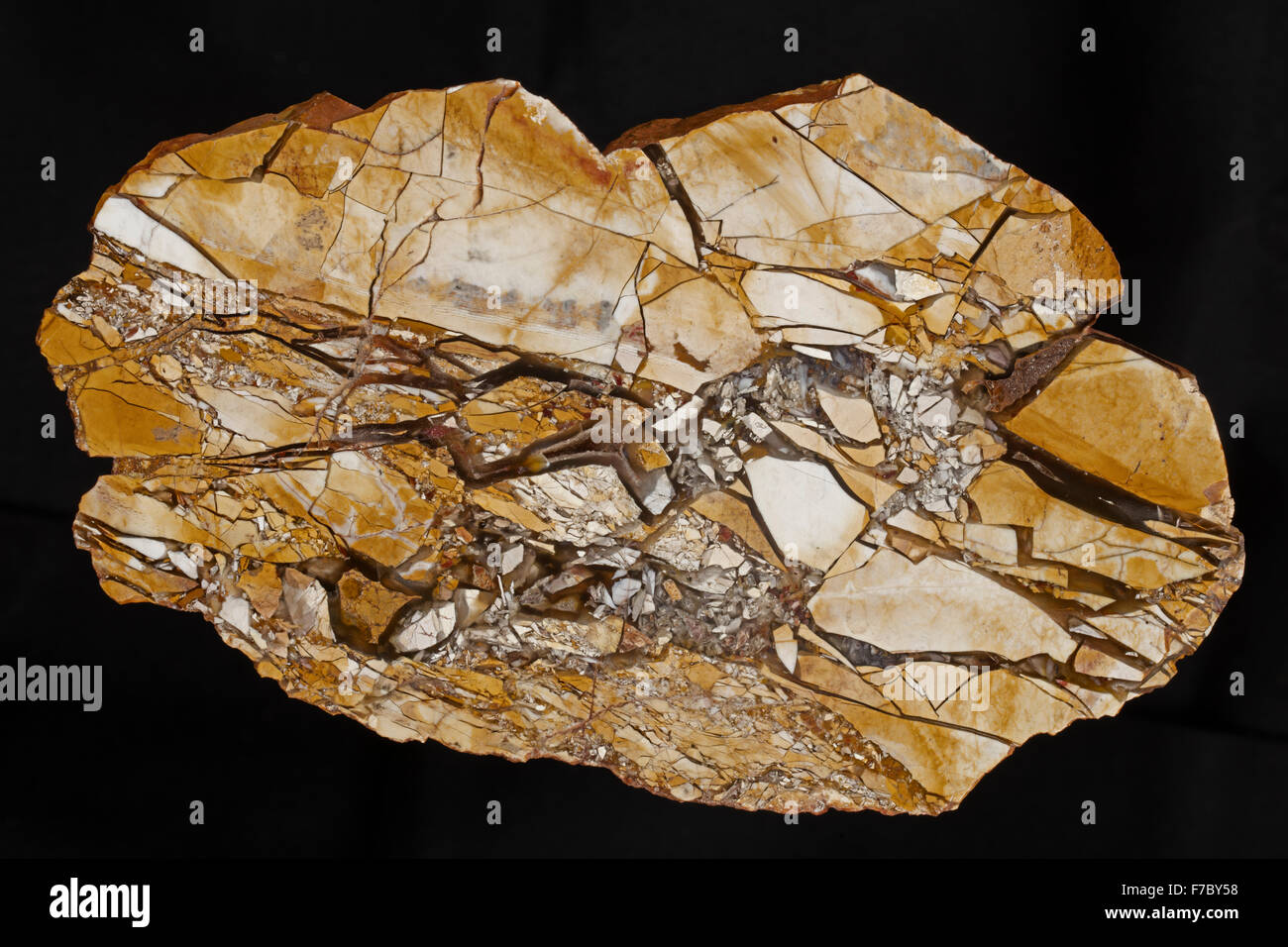 "Mookaite", Brecciated radiolarite, composed of fossil radiolarians ...