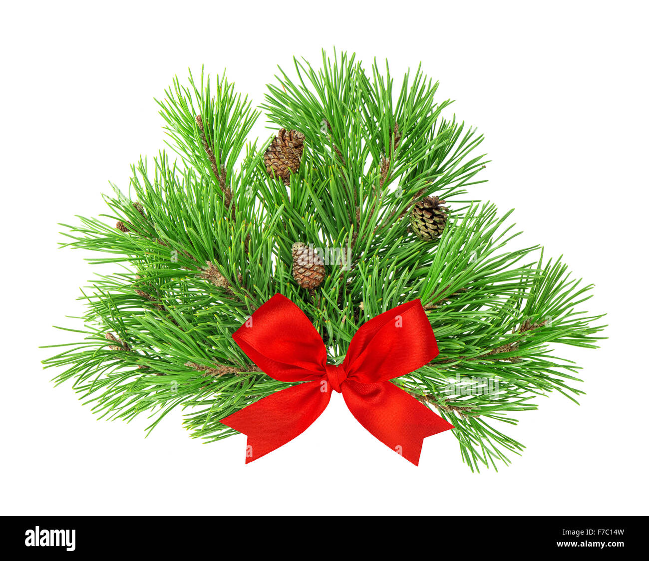 Pine tree branches with cones and red ribbon bow decoration isolated on ...