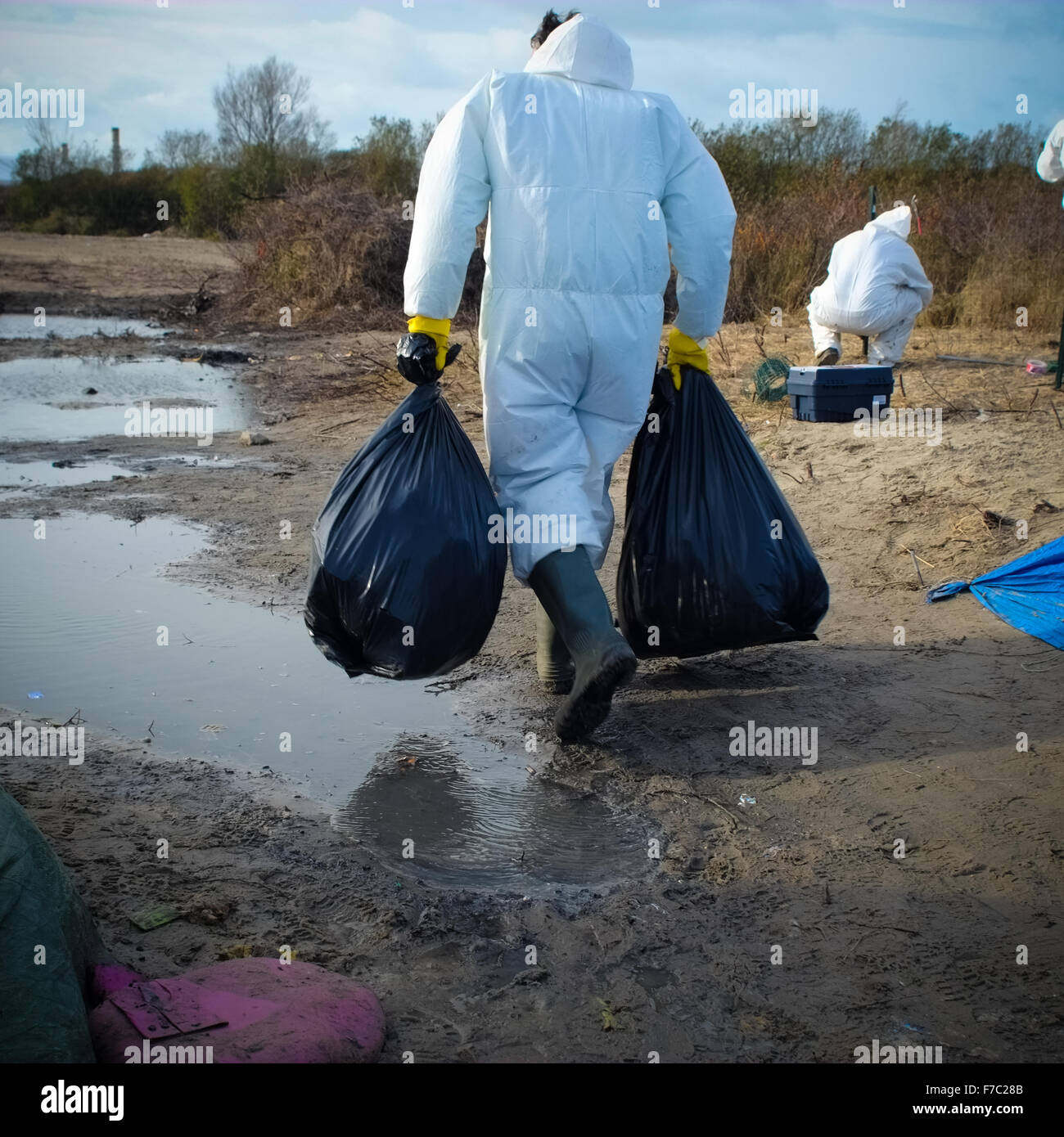 Known as the jungle hi-res stock photography and images - Alamy