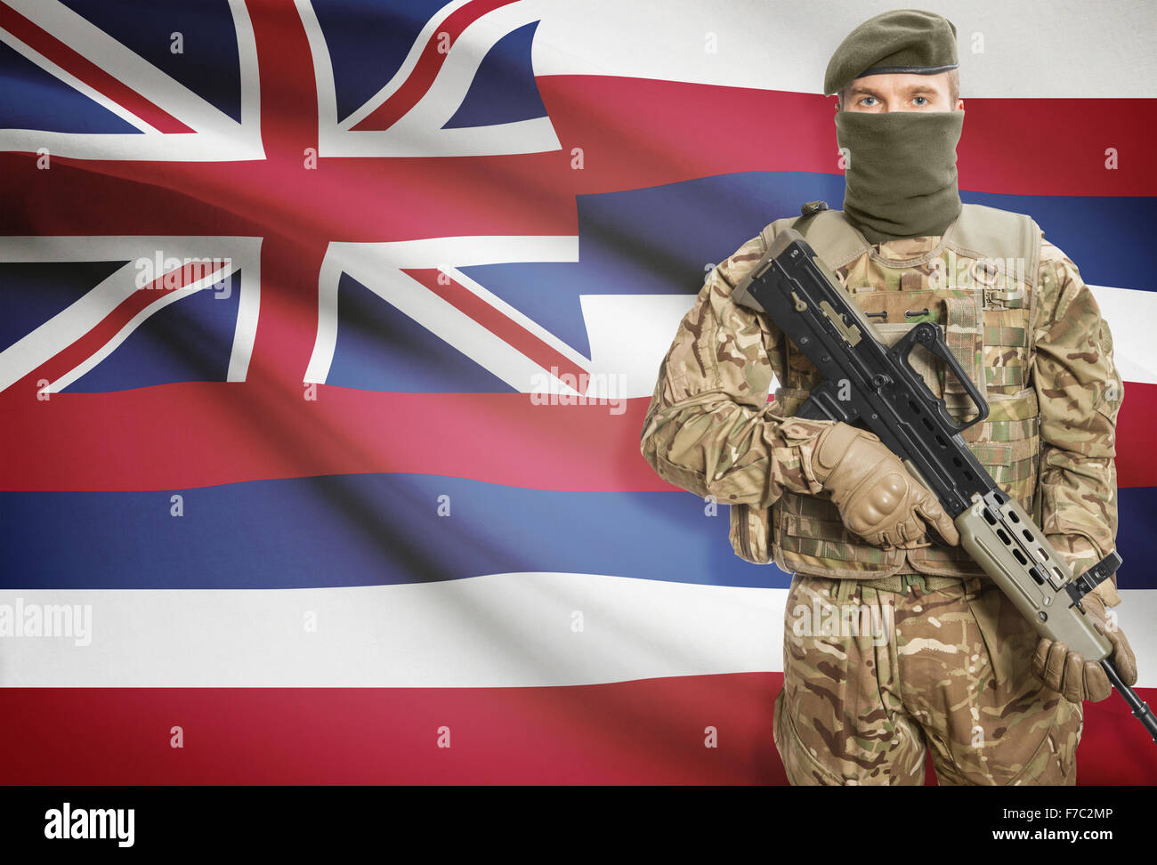 Soldier holding machine gun with USA state flag on background - Hawaii ...