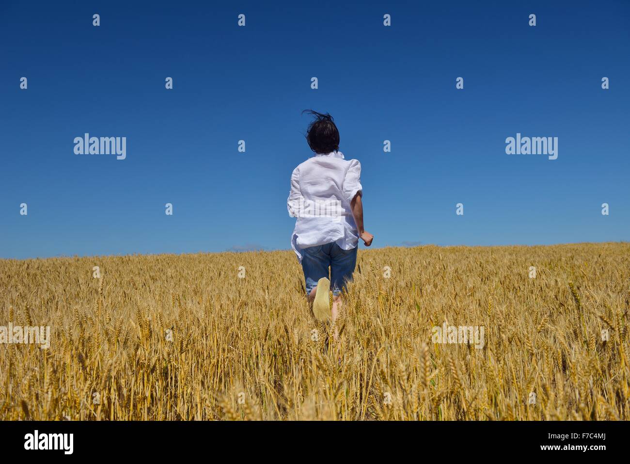 Young woman standing jumping and running on a wheat field with blue sky ...