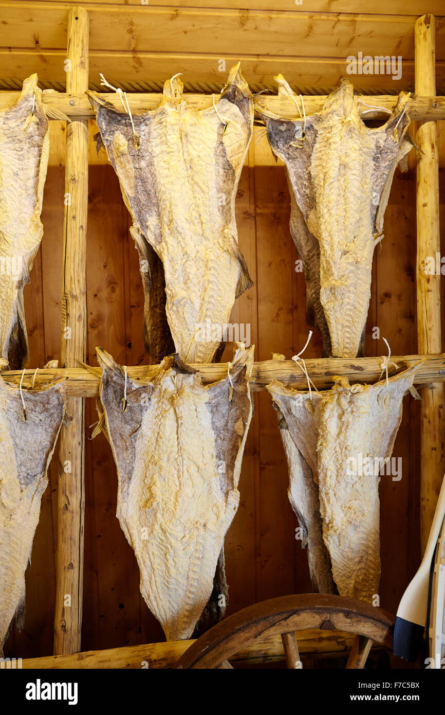 Dried cod (stockfish), Lofoten Islands, Norway Stock Photo - Alamy