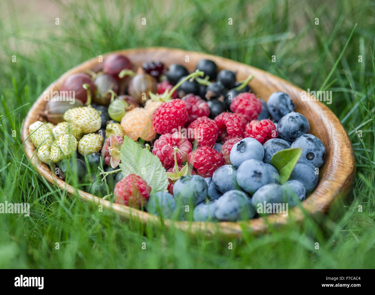 Ripe berries in the wooden bowl over green grass Stock Photo - Alamy