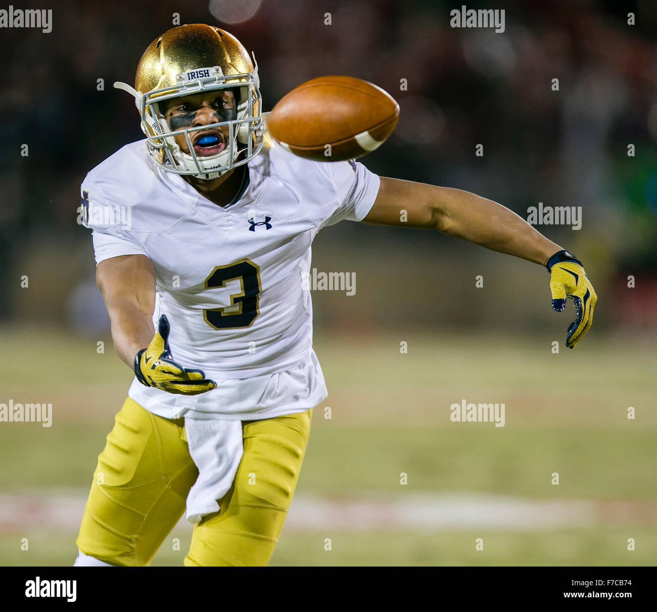 Notre dame fighting irish wide hi-res stock photography and images - Alamy