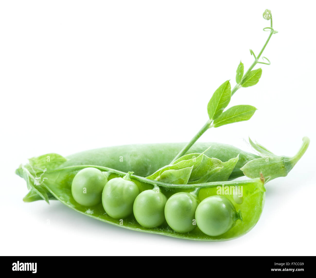 Open pea pod plant hi-res stock photography and images - Alamy