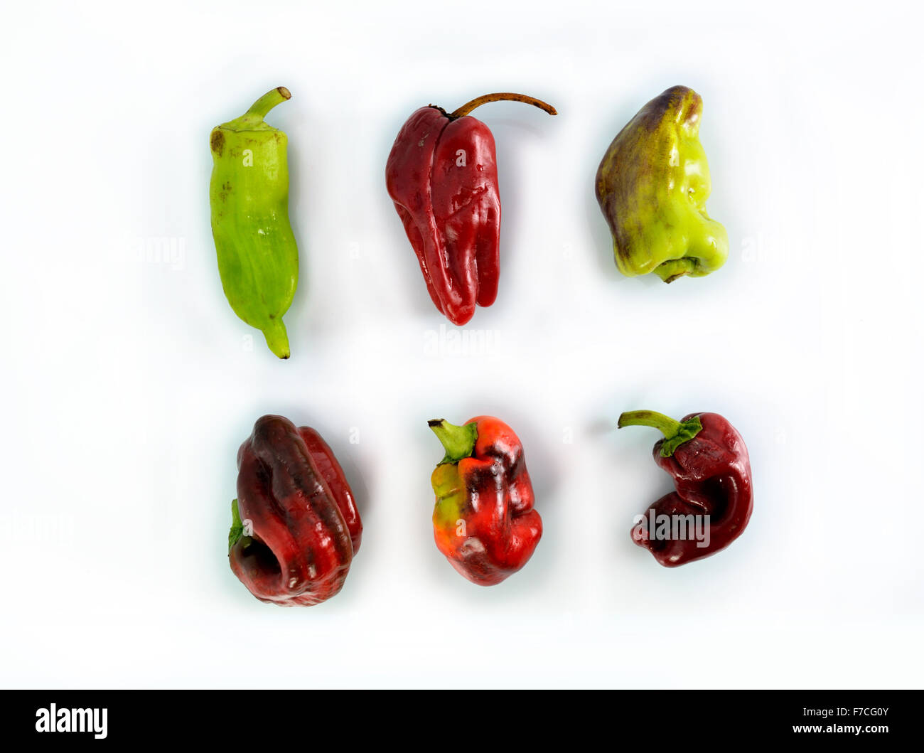 Knobbly vegetables hi-res stock photography and images - Alamy