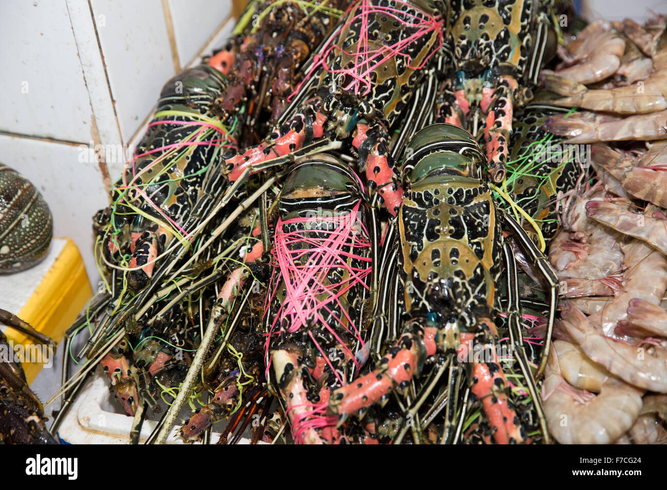 Deira Fish Market Dubai Stock Photo - Alamy
