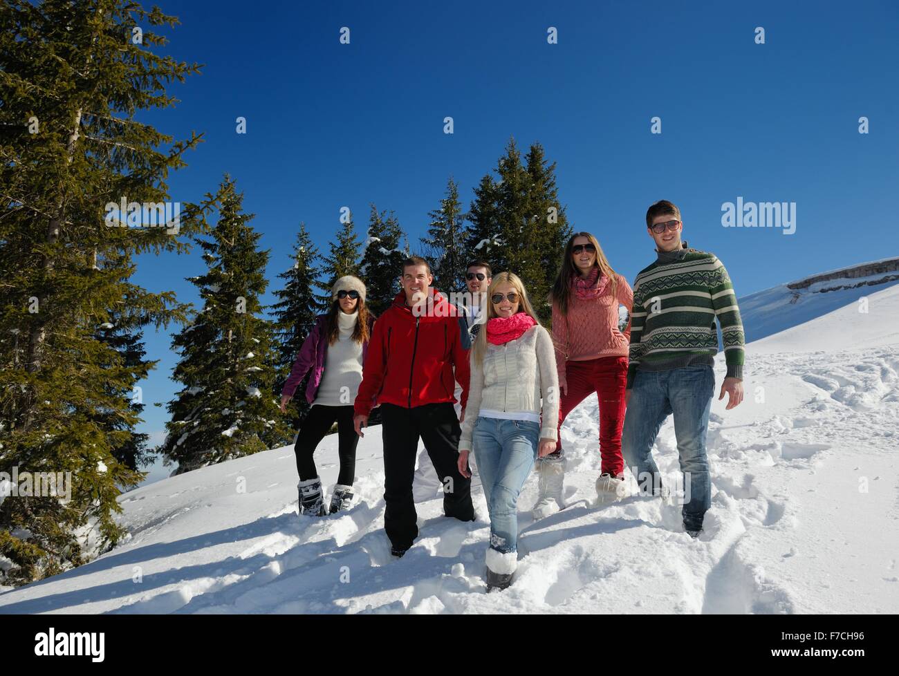 happy friends group have fun at winter on fresh snow, healthy young ...