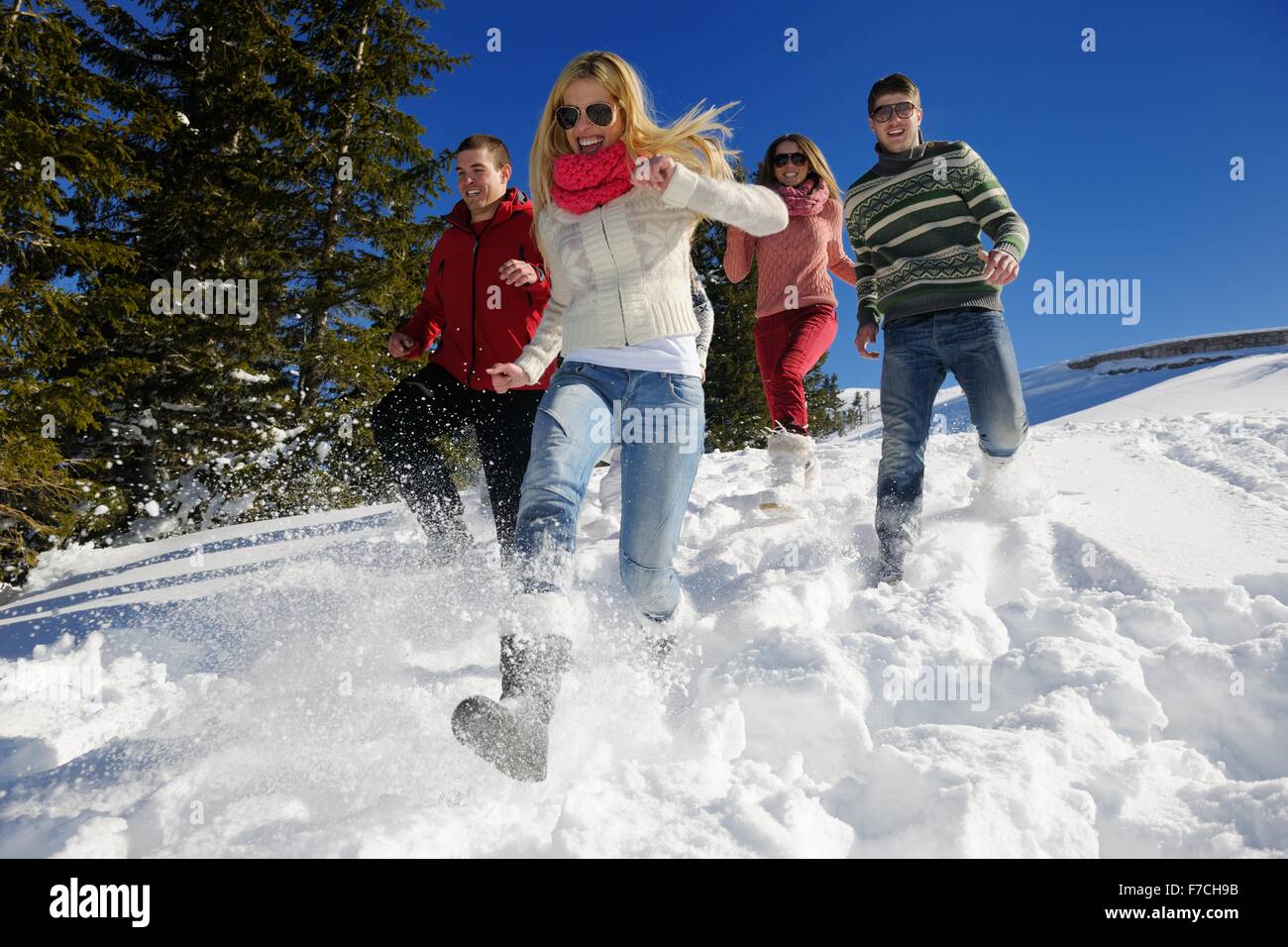 happy friends group have fun at winter on fresh snow, healthy young ...