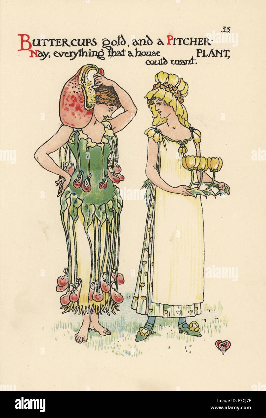 Flower fairies of buttercup, Ranunculus acris, and pitcher plant ...