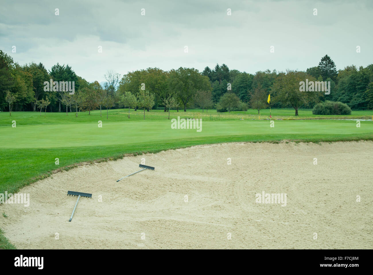 Sand bunker on the golf course Stock Photo - Alamy