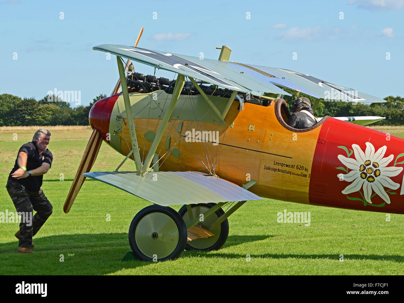 World war one albatros aircraft hi-res stock photography and images - Alamy