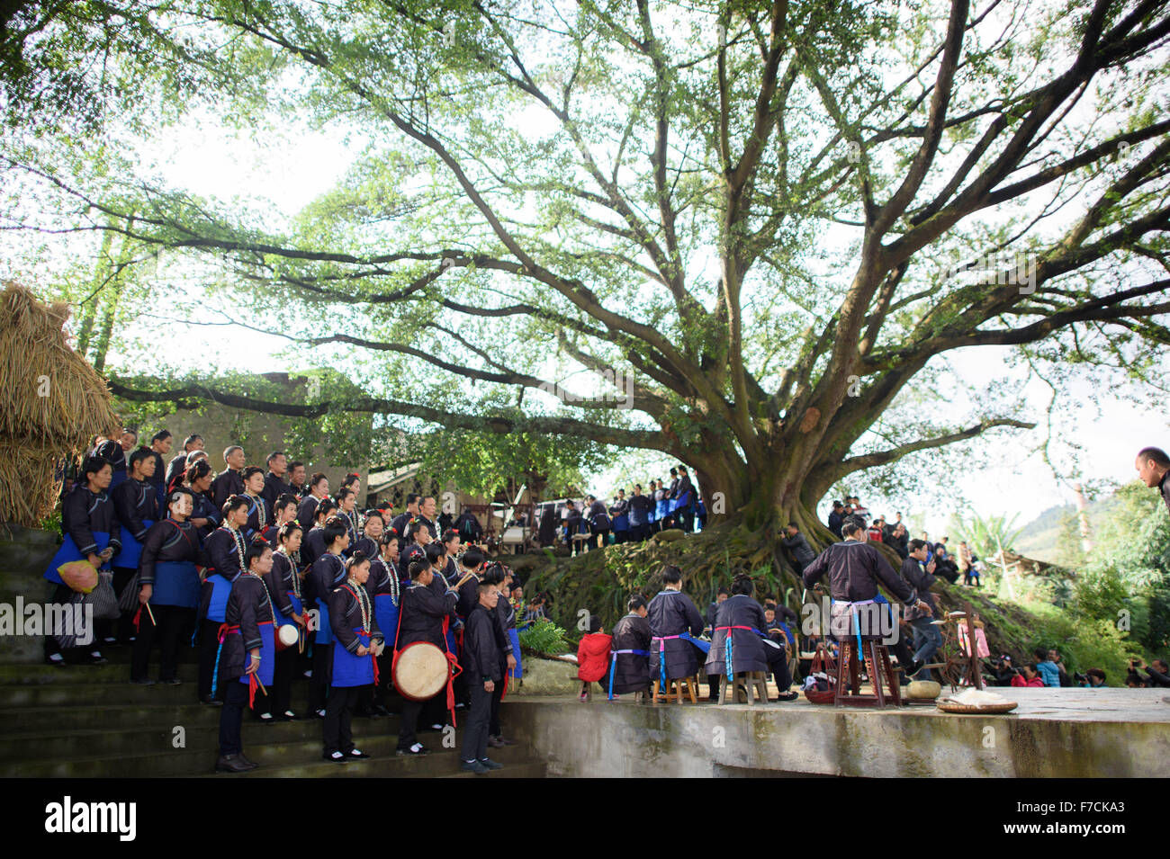 (151129) -- RONGJIANG, Nov. 29, 2015 (Xinhua) -- People of Dong ethnic ...
