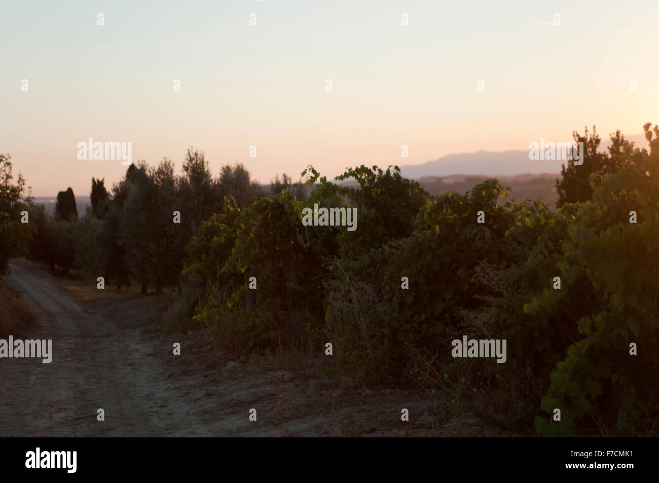 Scenic sunset over tuscan hi-res stock photography and images - Alamy