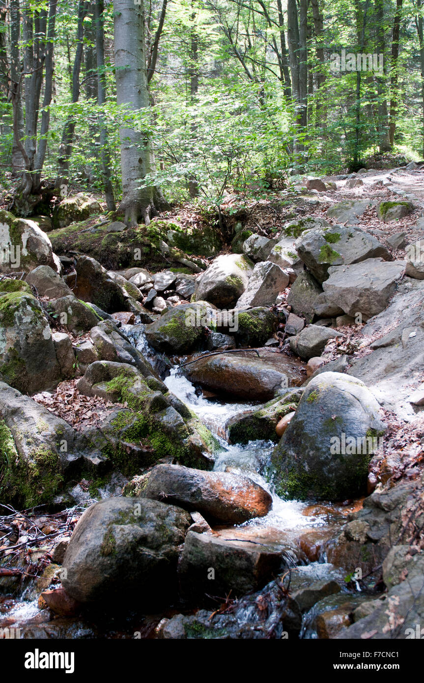 Crystal-Clear Water Flowing Through Vitosha Boulder Cluster Stock Photo ...