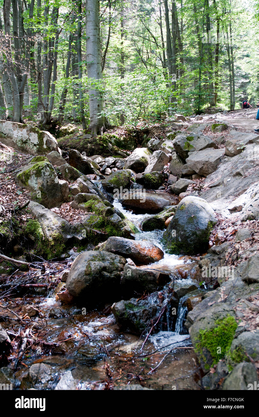 Crystal-Clear Water Flowing Through Vitosha Boulder Cluster Stock Photo ...