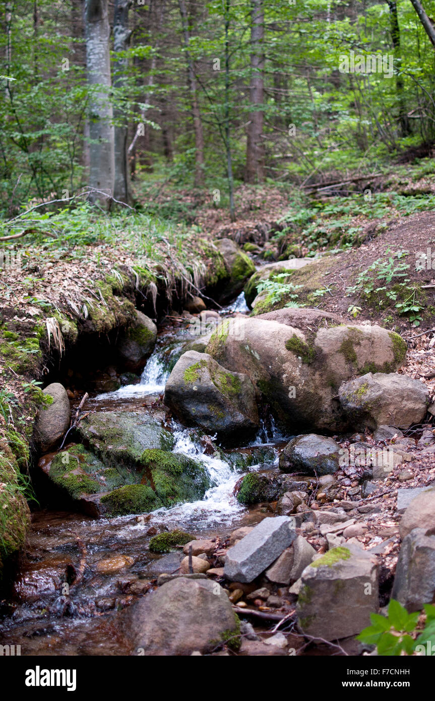 Trekking through water hi-res stock photography and images - Alamy