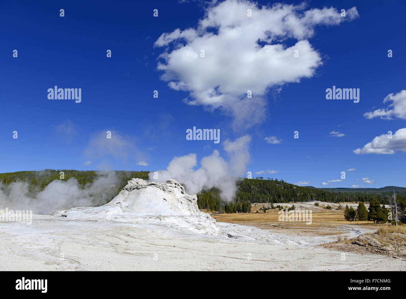 Geothermal features in Yellowstone National Park, Wyoming, USA Stock ...