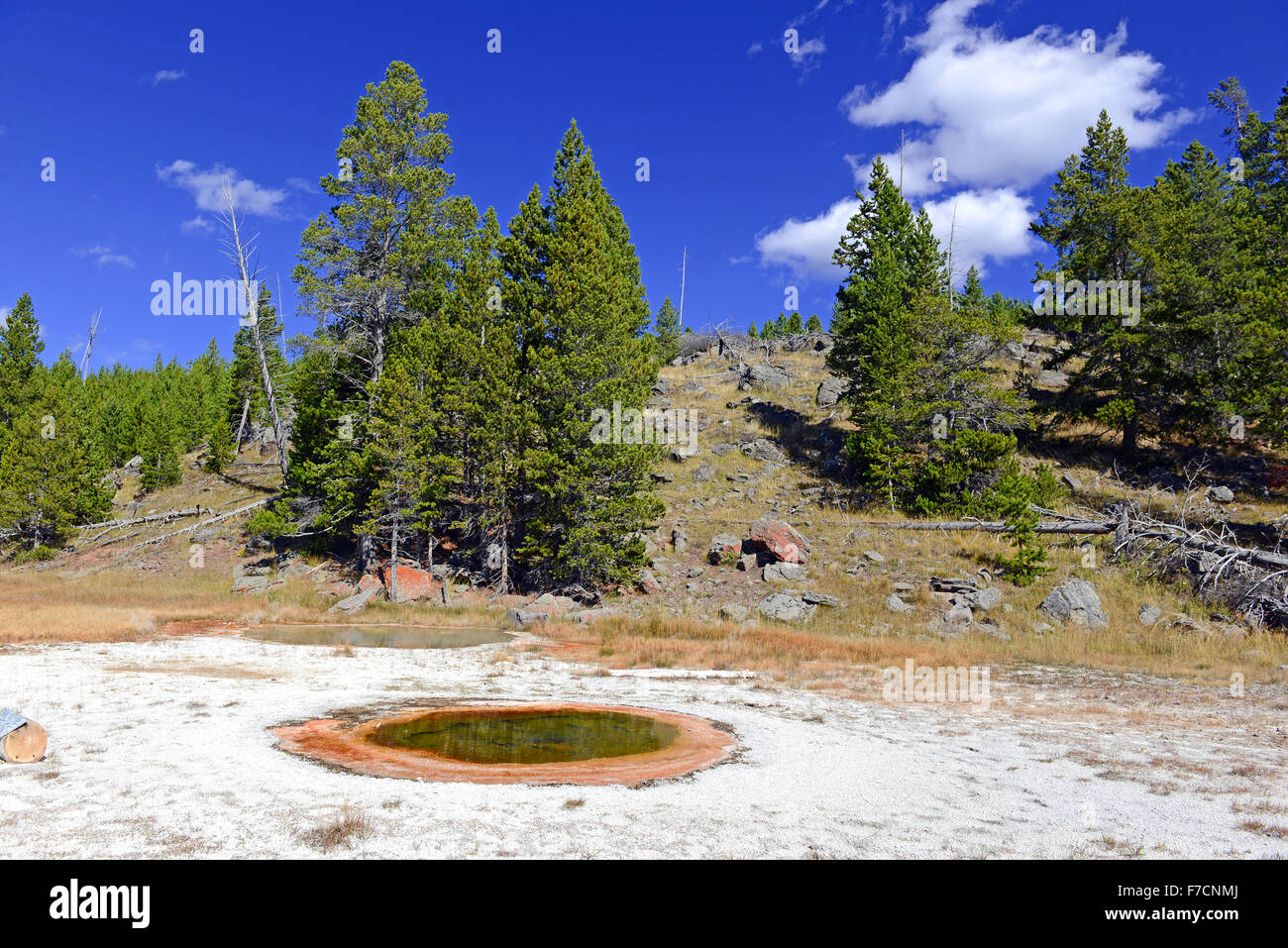 Geothermal features in Yellowstone National Park, Wyoming, USA Stock ...