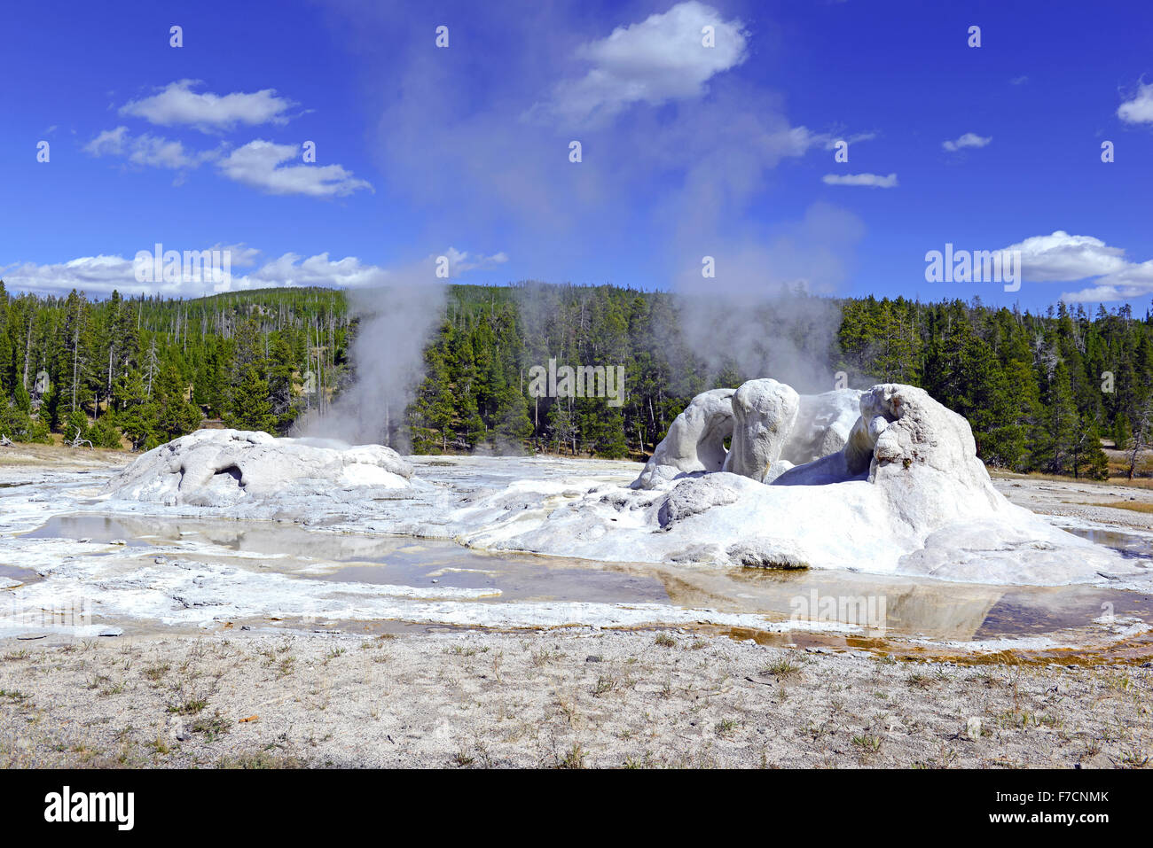 Geothermal features in Yellowstone National Park, Wyoming, USA Stock ...