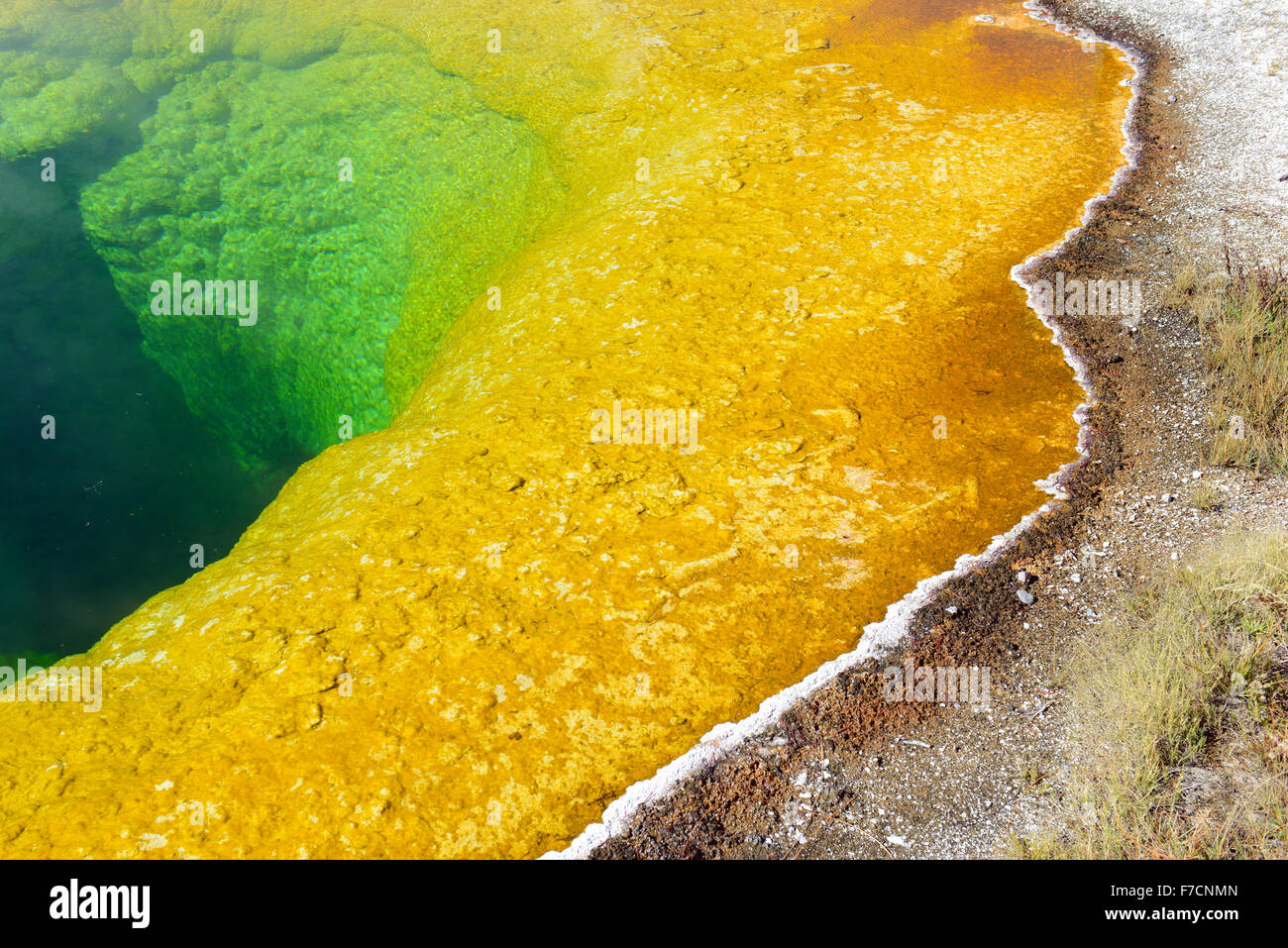 Vibrant colors of Morning Glory Hot Spring, Yellowstone National Park ...