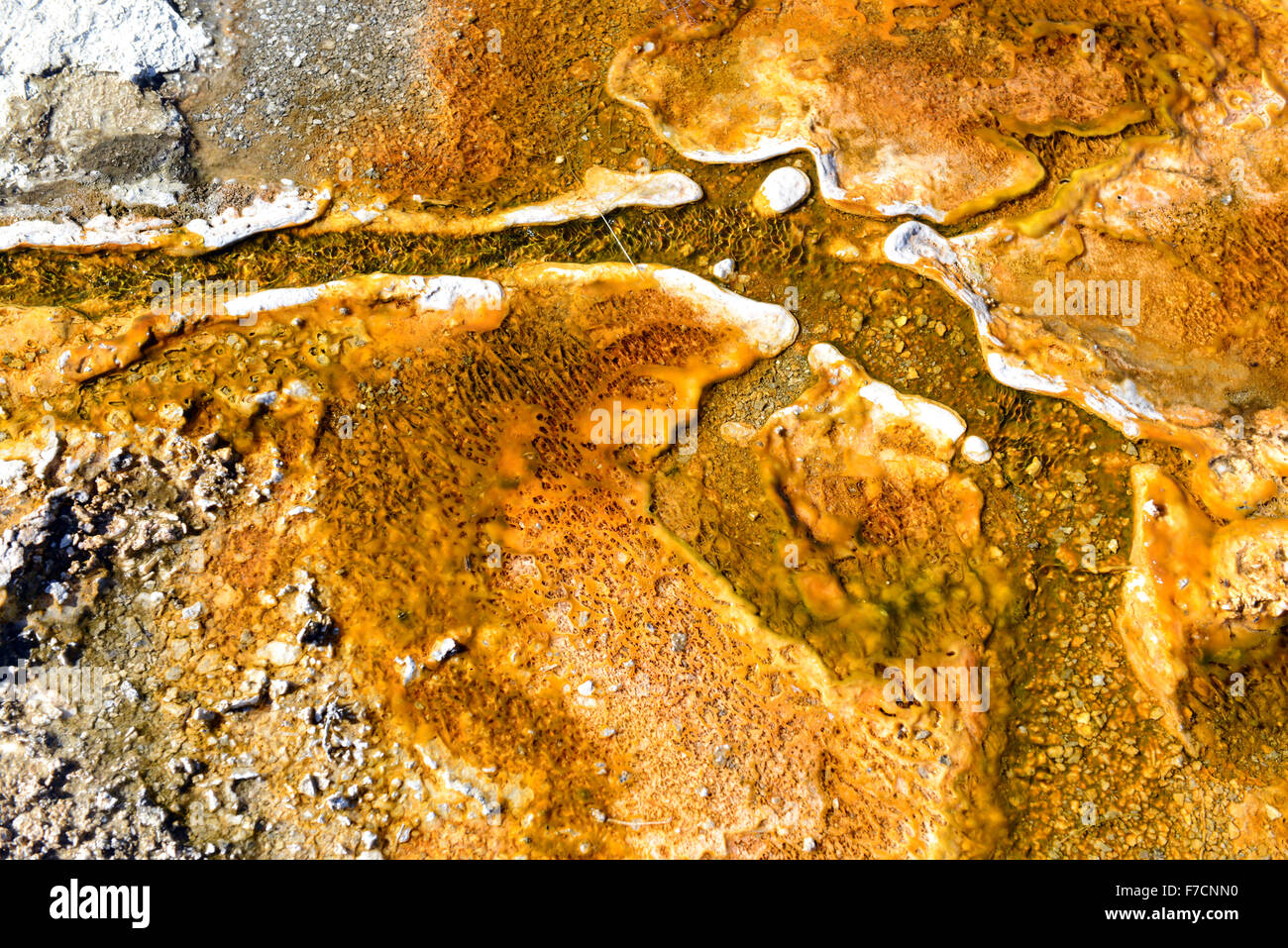 Geothermal features in Yellowstone National Park, Wyoming, USA Stock ...