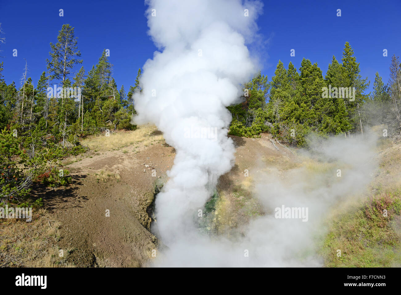 Geothermal features in Yellowstone National Park, Wyoming, USA Stock ...