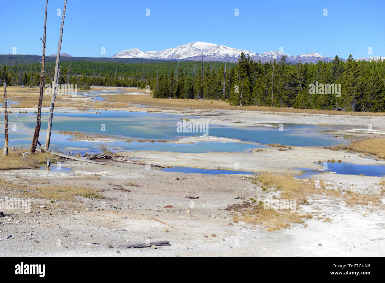 Geothermal features in Yellowstone National Park, Wyoming, USA Stock ...