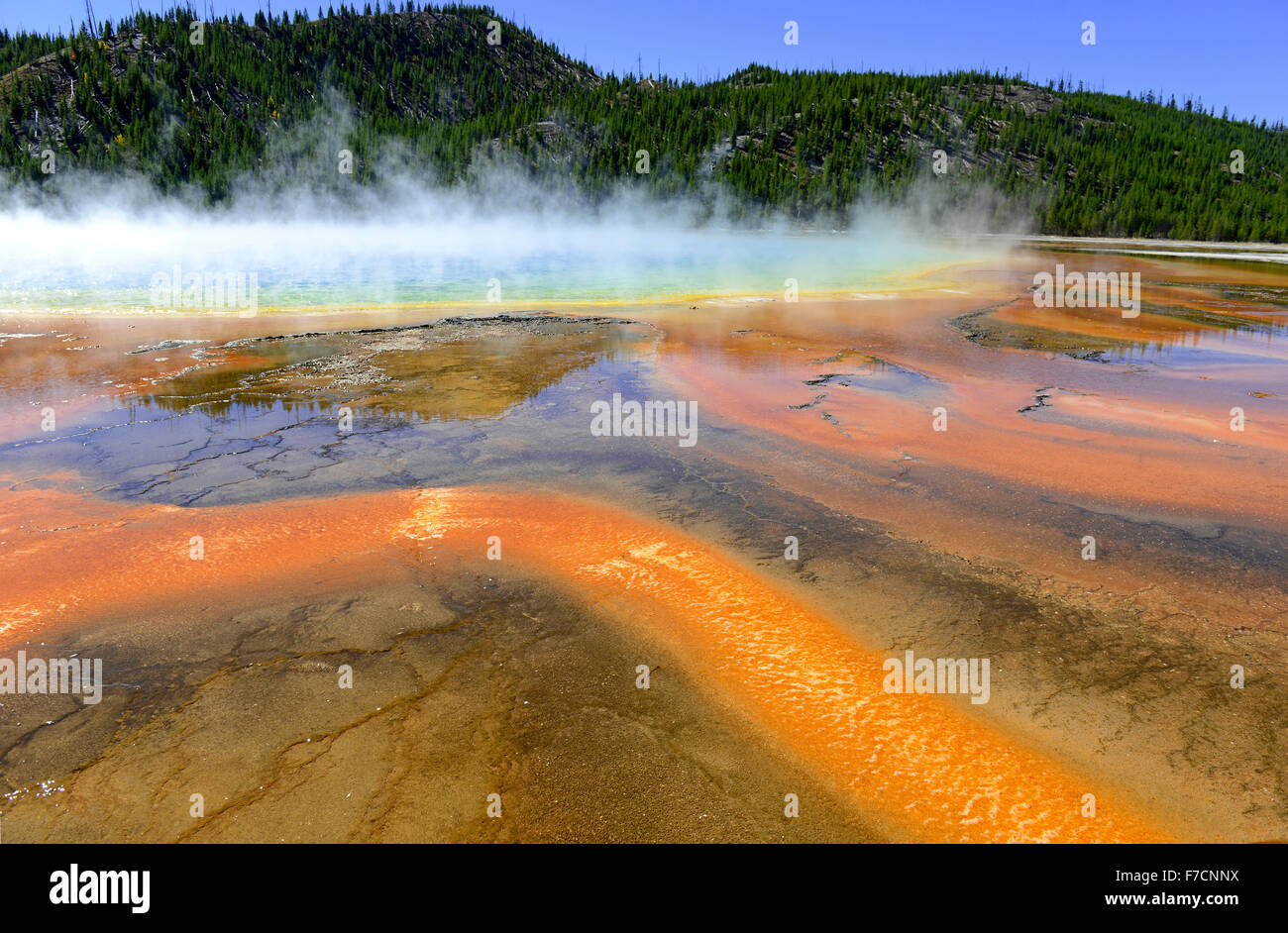 Geothermal features in Yellowstone National Park, Wyoming, USA Stock ...