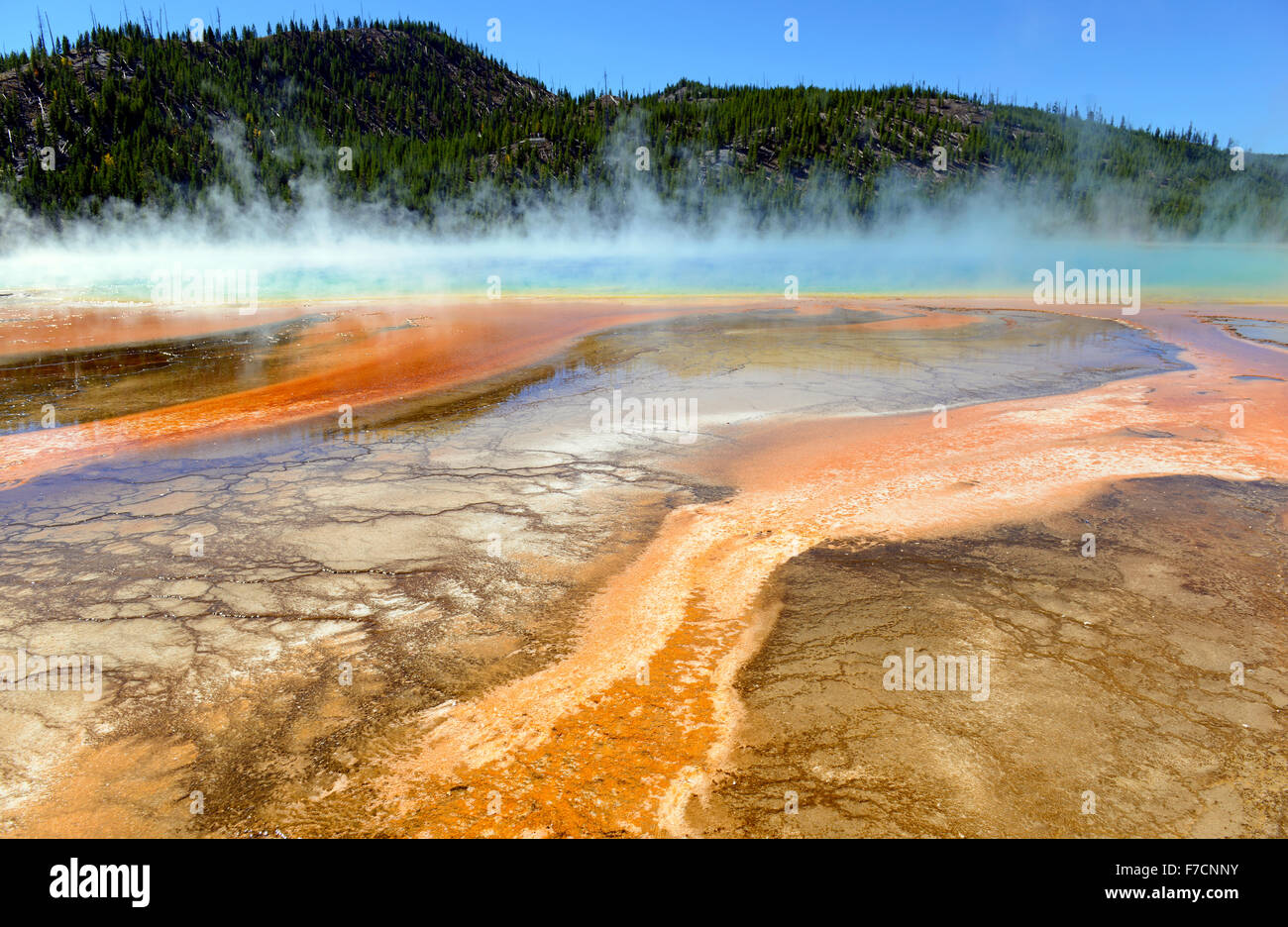 Geothermal features in Yellowstone National Park, Wyoming, USA Stock ...