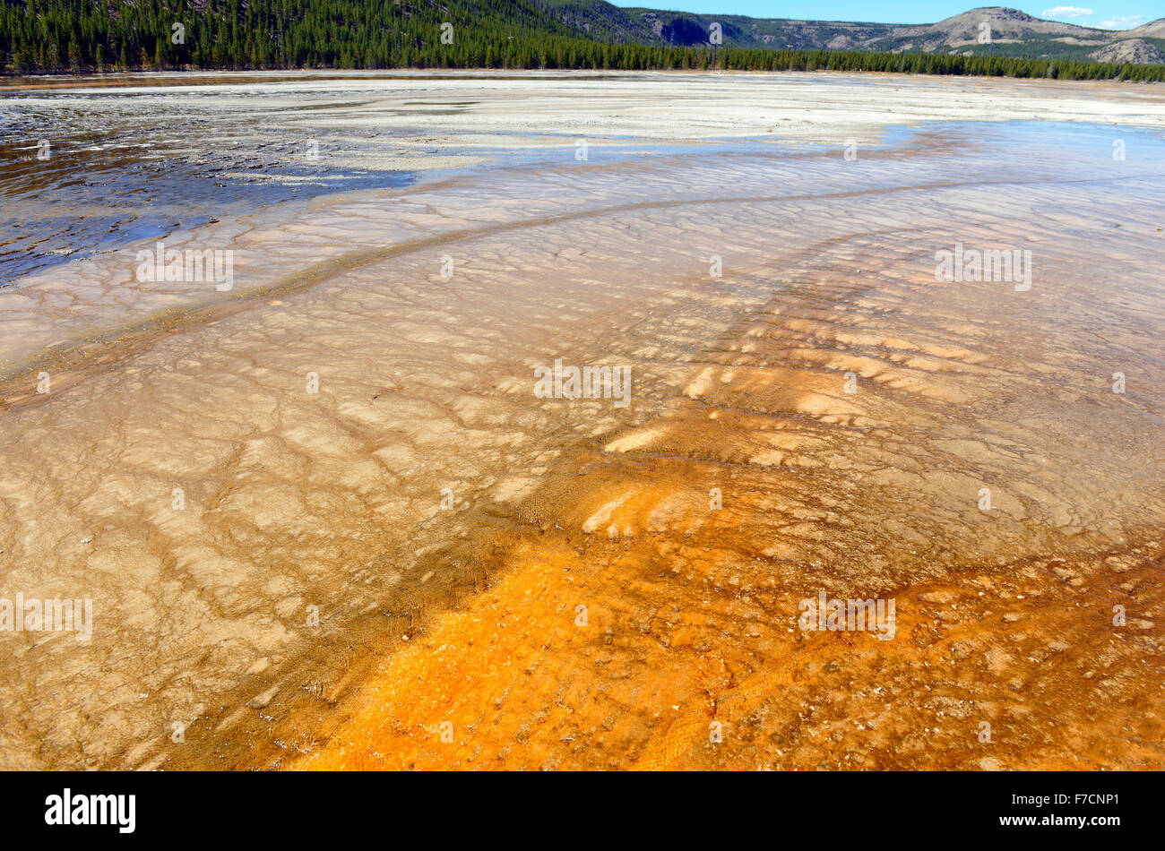 Geothermal features in Yellowstone National Park, Wyoming, USA Stock ...
