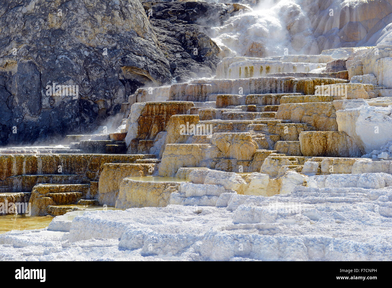 Travertine Terraces in Mammoth Hot Springs, Yellowstone National Park ...