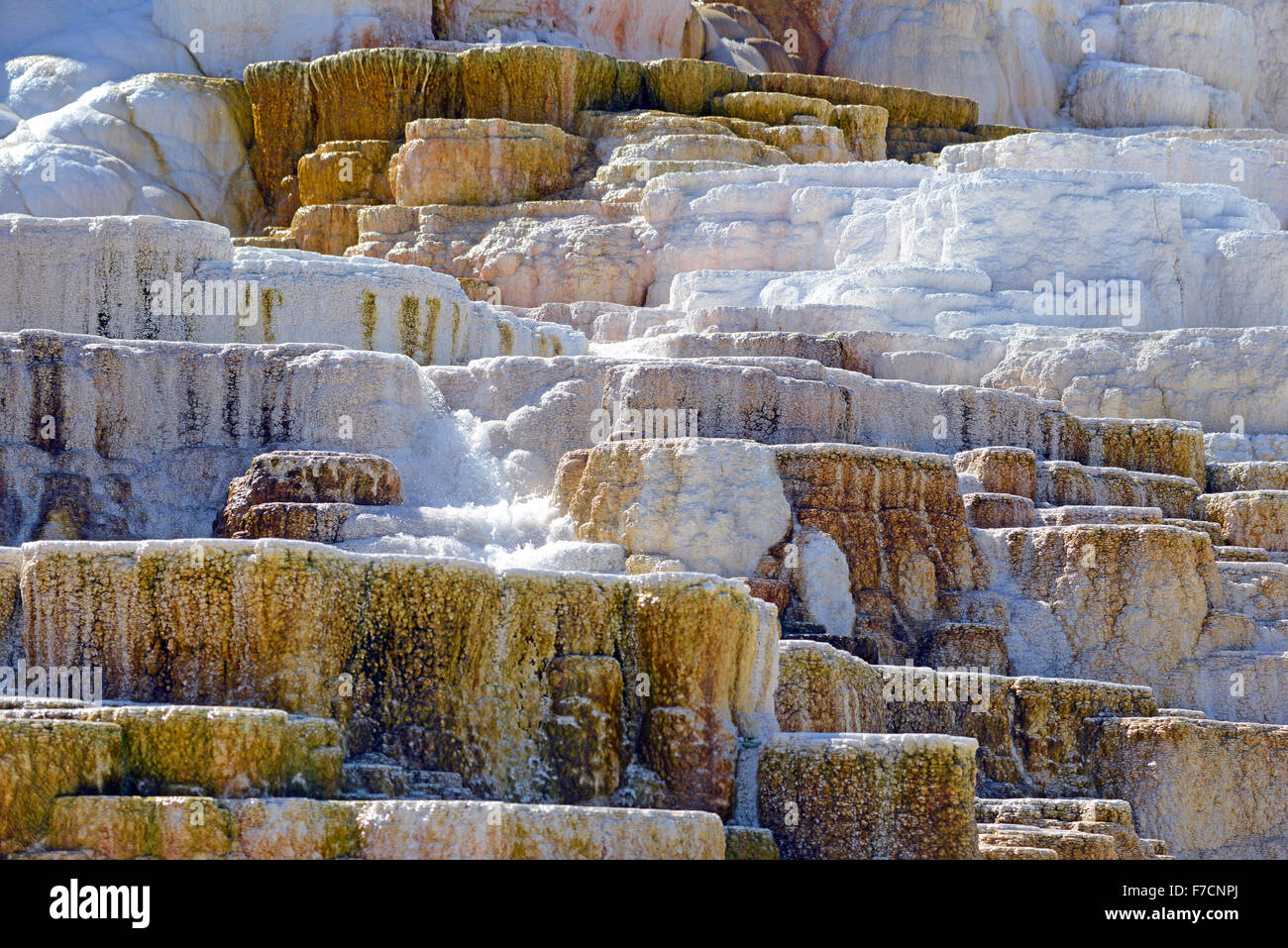 Travertine terraces yellowstone hi-res stock photography and images - Alamy